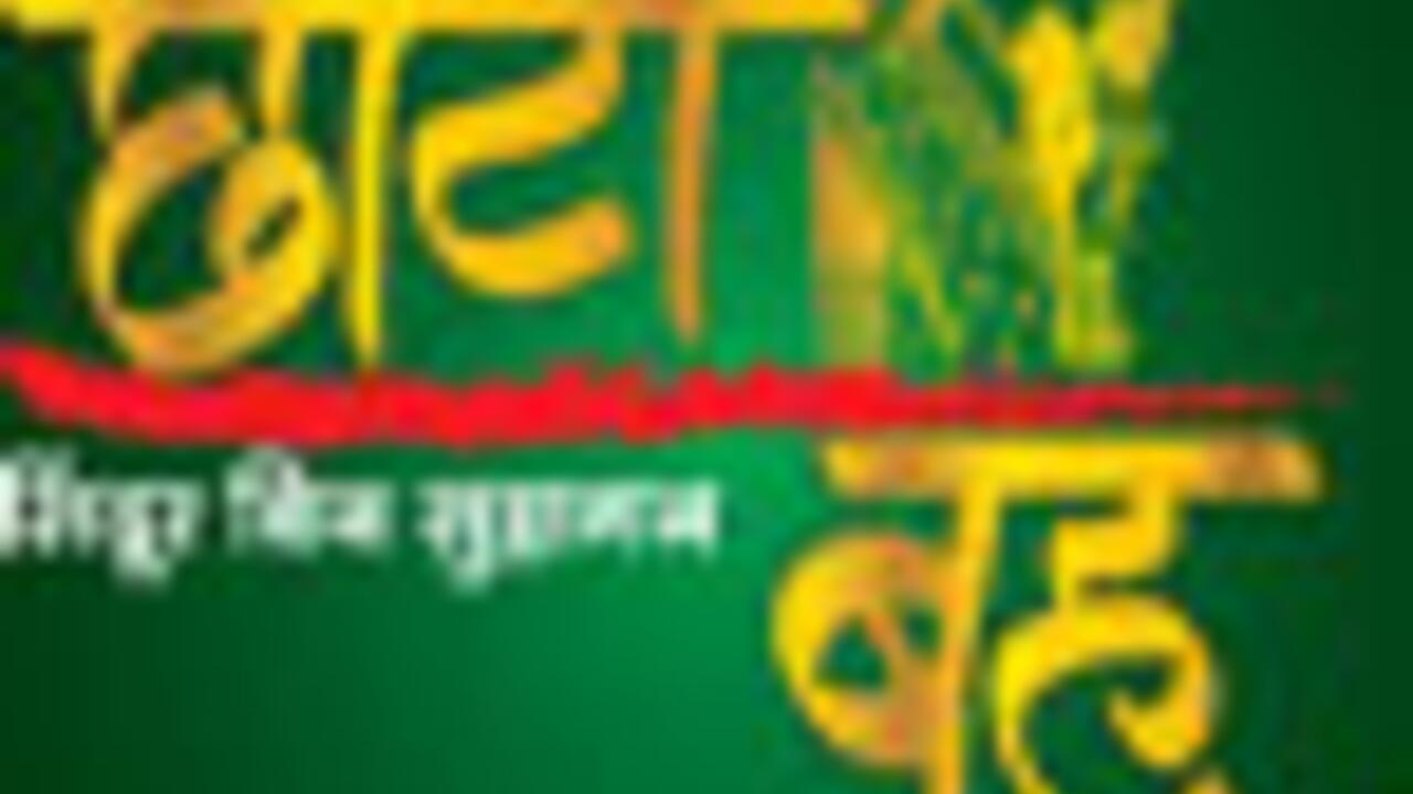 Choti Bahu completes 100 episodes..