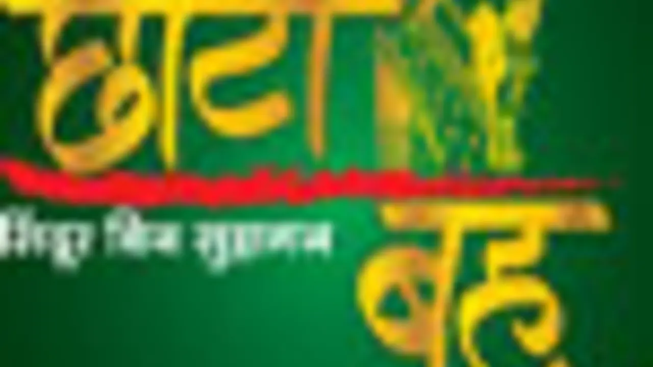 Choti Bahu completes 100 episodes..