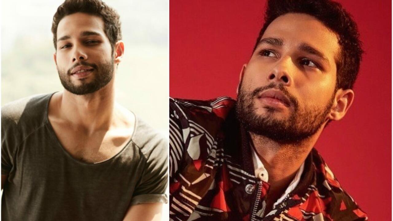 Gully Boy star Siddhant Chaturvedi's MC Sher to get a SPIN-OFF TALE ...