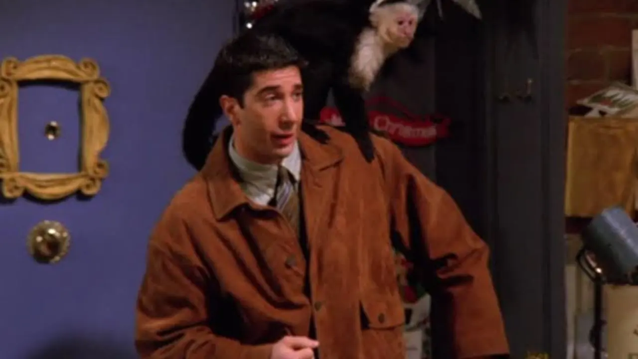 Remember the Monkey Marcel from 'F.R.I.E.N.D.S'? He is back