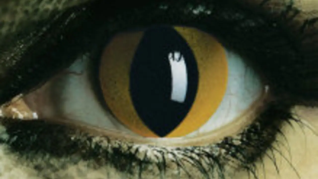 FIRST LOOK : Hisss...