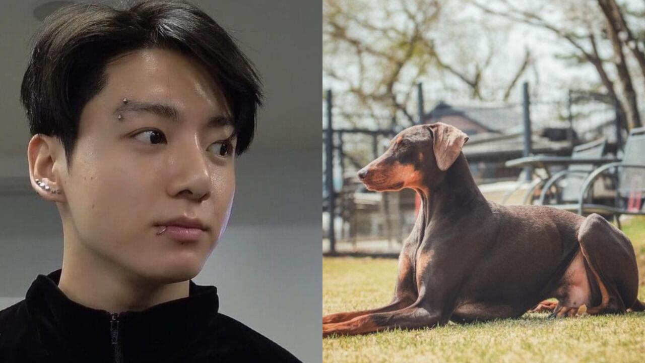 BTS: Jungkook makes cute comeback on social media; shares adorable pics ...