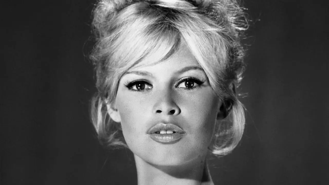 Brigitte Bardot passes away at 91; Here's what happened to the French ...