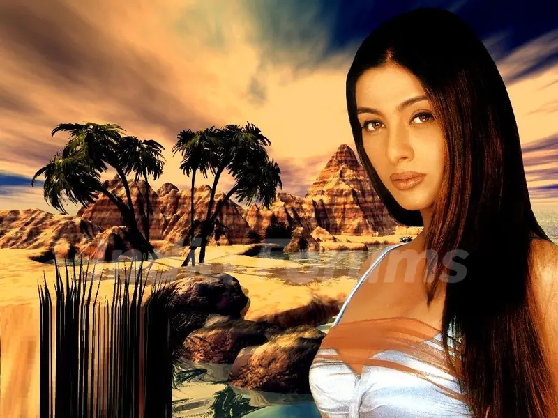 Tabu Hashmi Photo | 28937