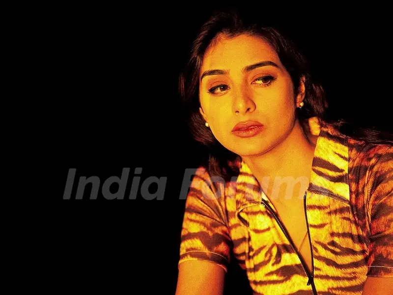 Tabu Hashmi Photo | 28942