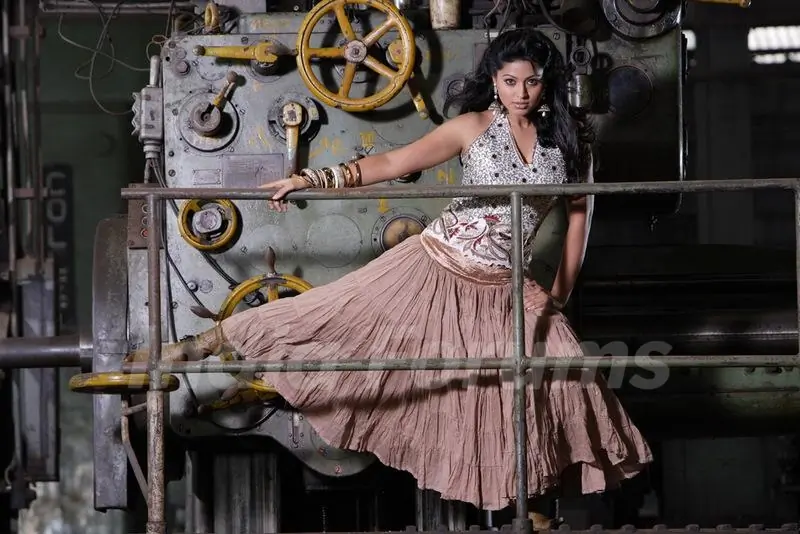 Suhasini Sneha Rajaram Photo | 29202