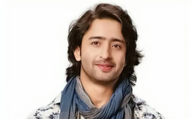 Shaheer Sheikh has a message for anyone who has been finding it ...