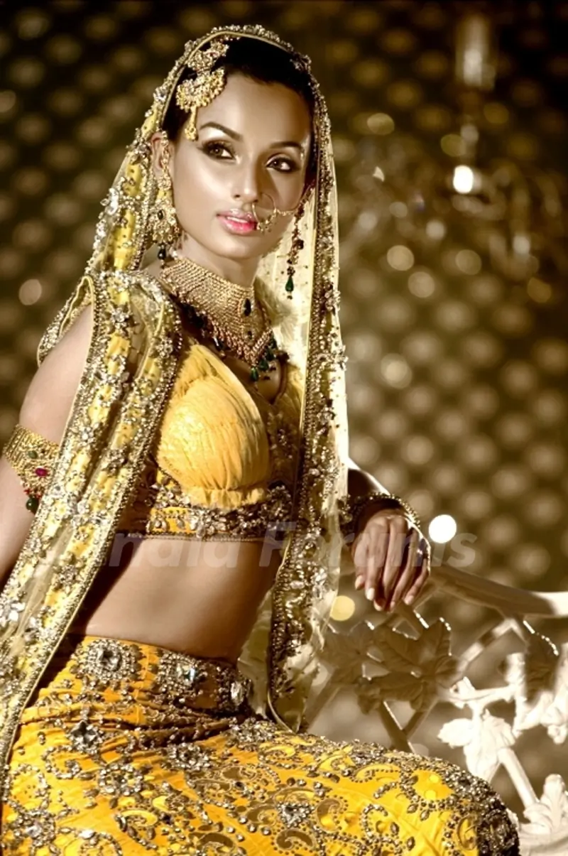 Reshmi Ghosh Photo | 65640