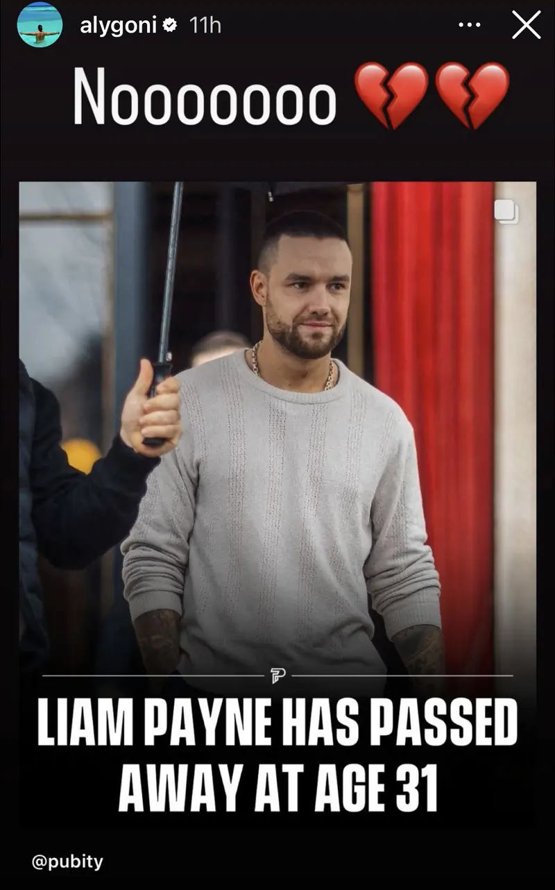 Aly Goni, Naina Singh and other TV celebs mourn the death of Liam Payne