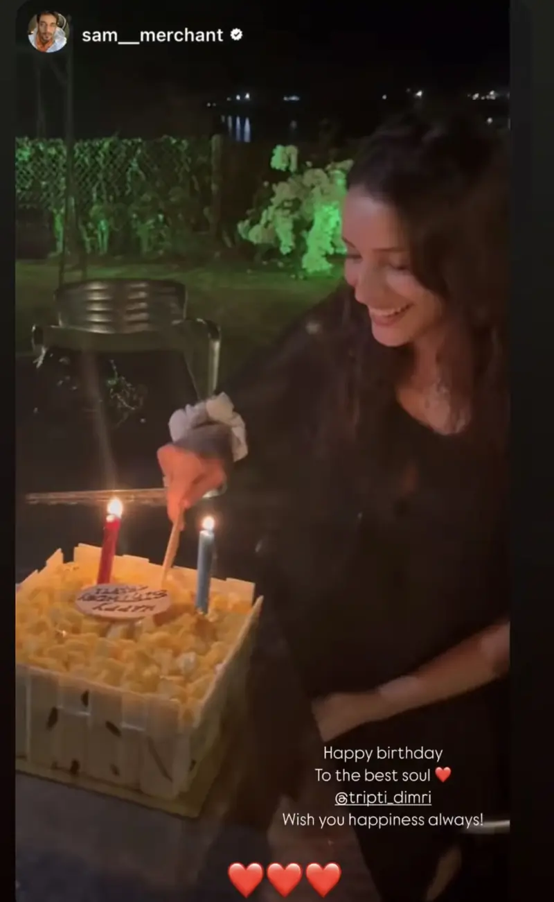 Triptii Dimri rings in her 31st birthday with her rumored BF Sam ...