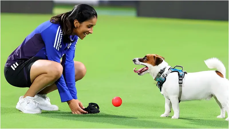 Jemimah Rodrigues' adorable pet Jade makes her debut on cricket field ...