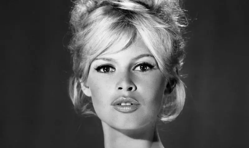 Brigitte Bardot passes away at 91; Here's what happened to the French ...